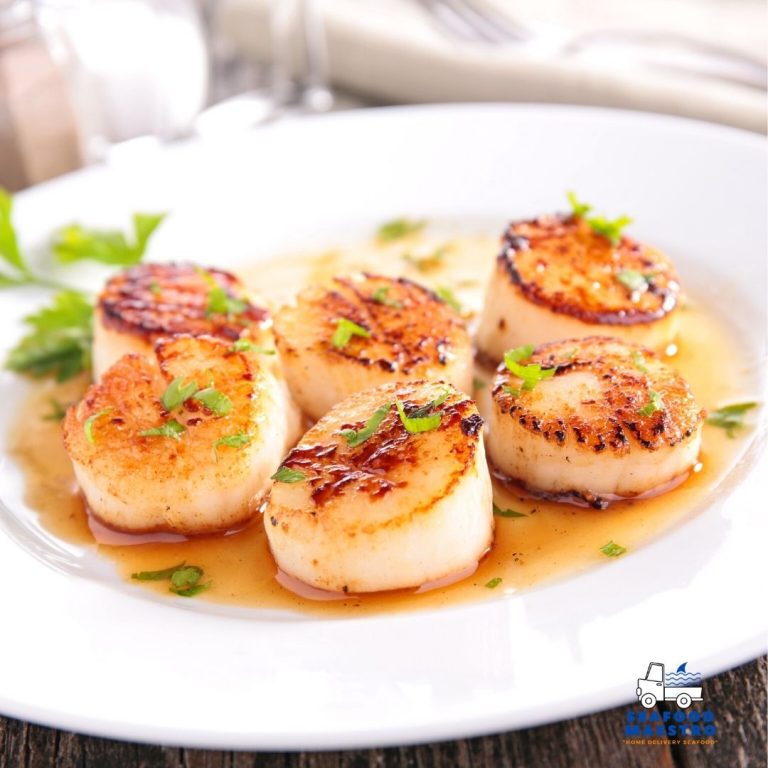 Frozen Canadian Scallop 10/20 x 500GM/PKT – Seafood Maestro Malaysia