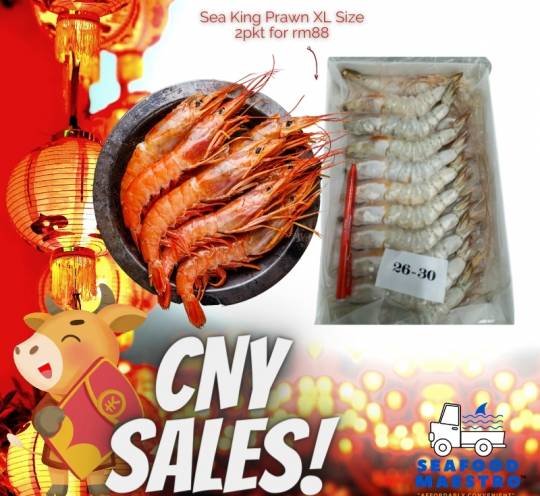 Local King Prawn (Size 26/30) by Pkt – Seafood Maestro Malaysia