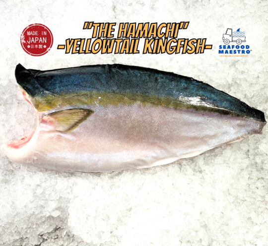 Yellowtail Kingfish – Seafood Maestro Malaysia