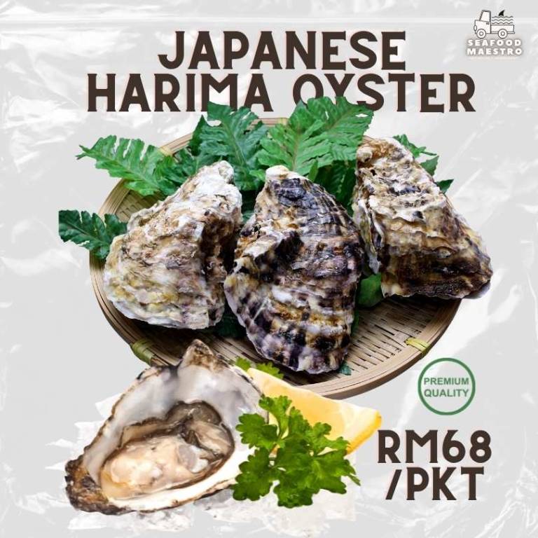 Japanese Harima Oyster – Sashimi Grade (65-85gm/pcs) – 12pcs/pkt ...